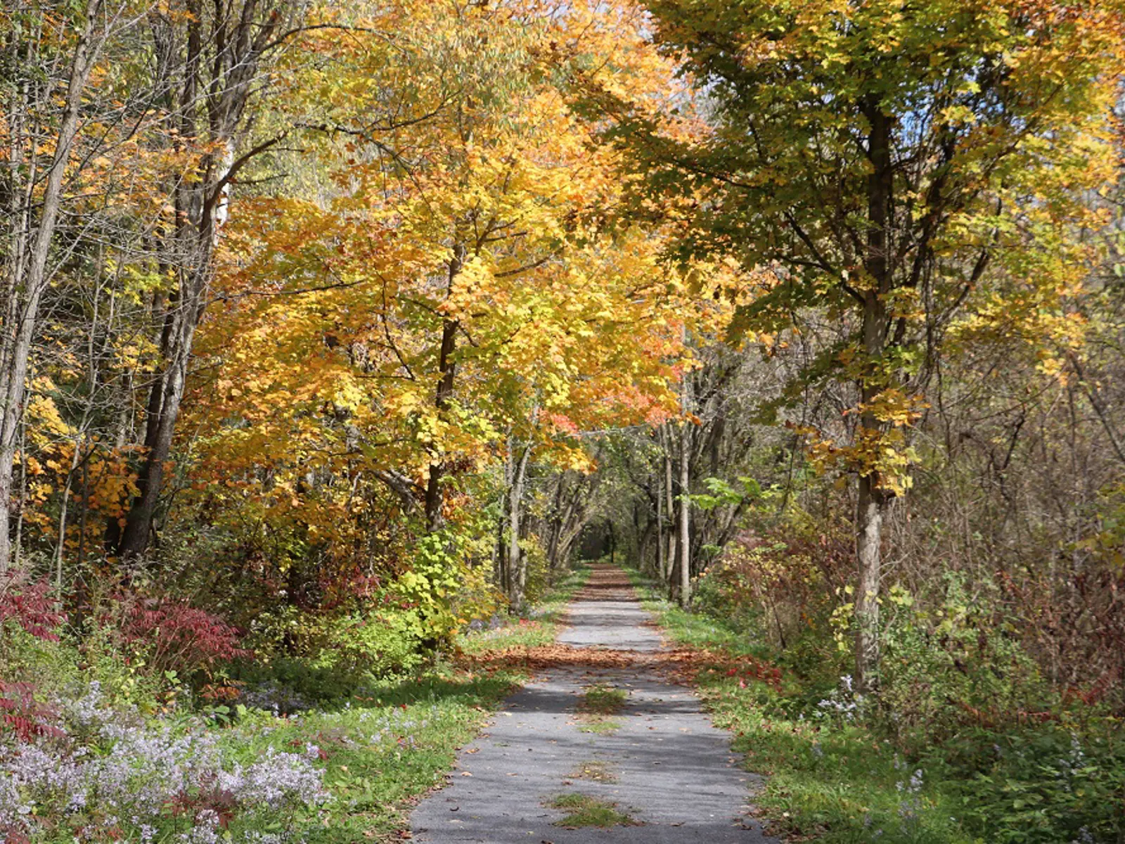 Cataraqui Trail | Township of Stone Mills