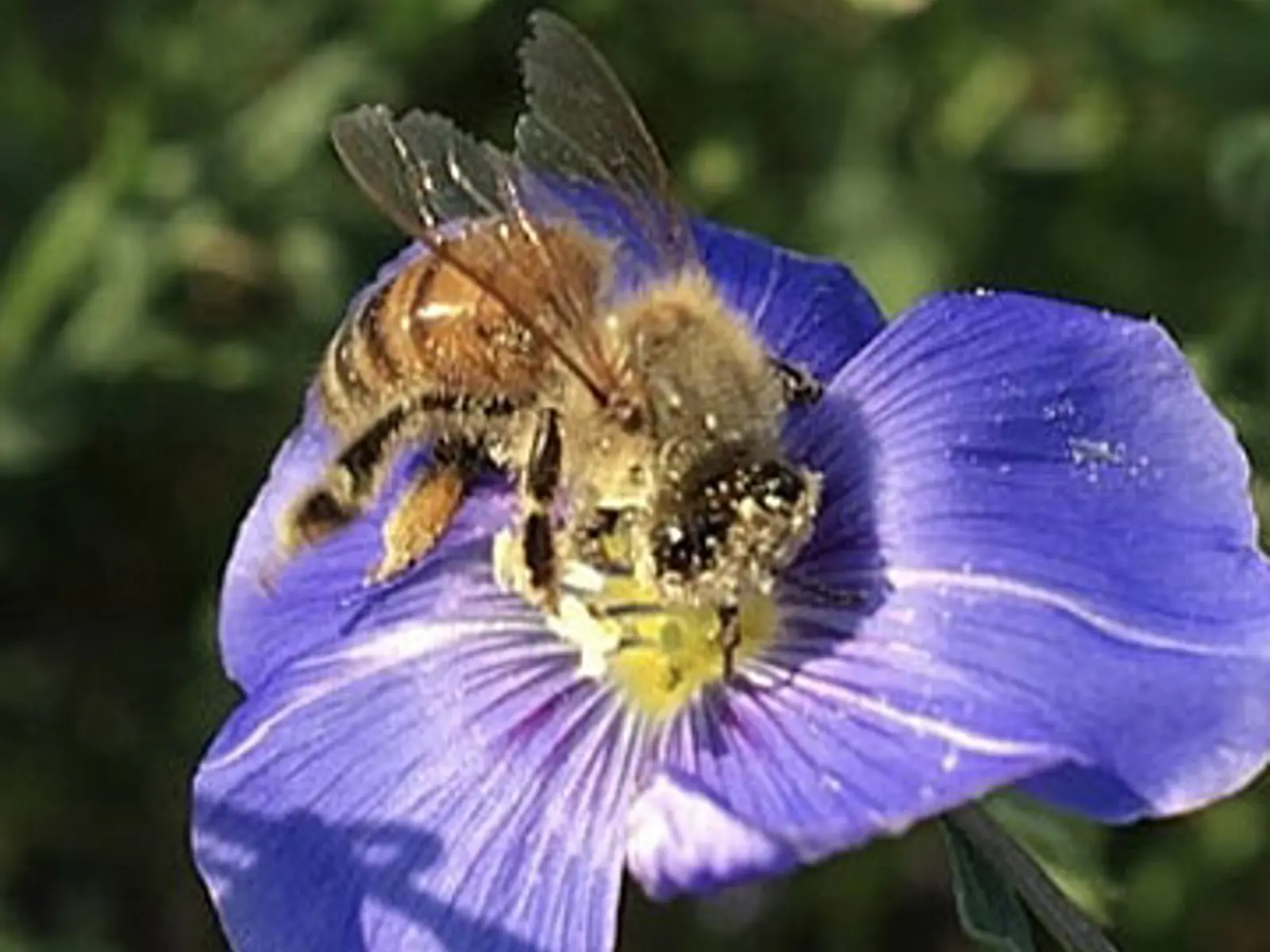 Tourism | Township of Stone Mills